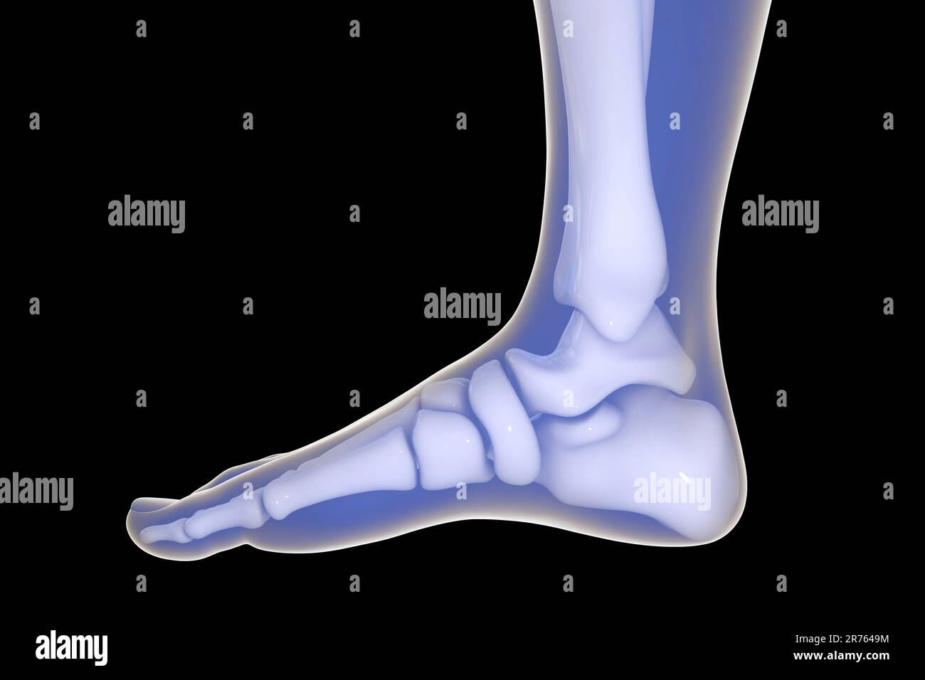 Feet Computer Definition at John Rosado blog