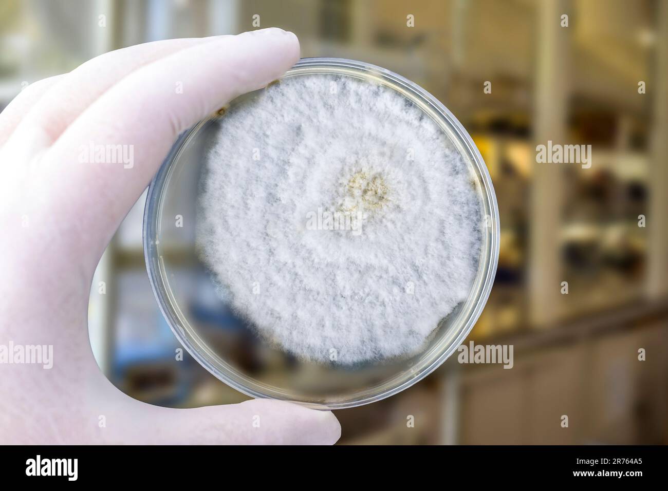 Microbiologicalm hi-res stock photography and images - Alamy
