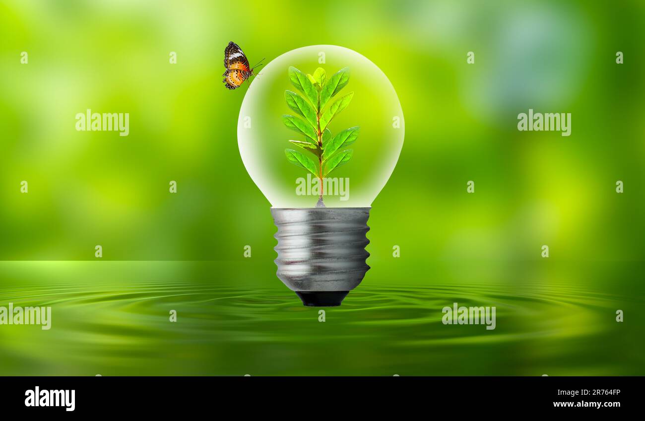 The bulb is located on the inside with leaves forest and the trees are ...