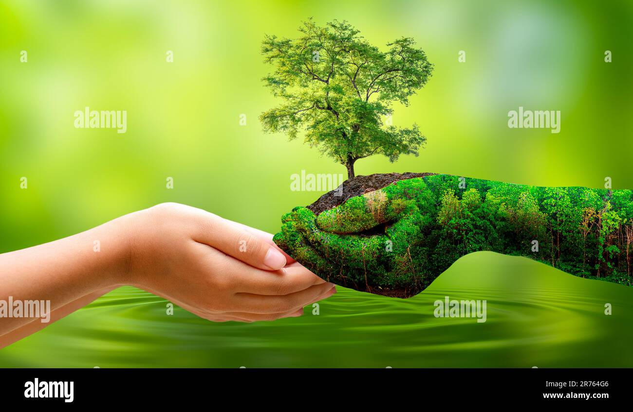 Concept Save the world save environment The world is in the grass of ...