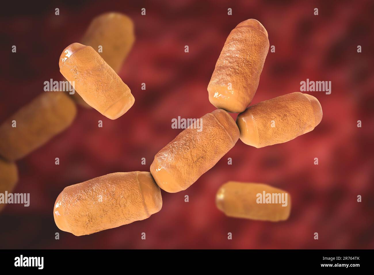 Archaea human intestine prokaryote (Methanobrevibacter smithii ...