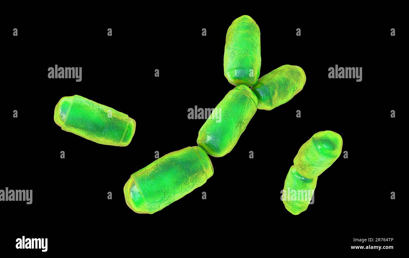 Intestine Archaea Methanobrevibacter Smithii Photograph By