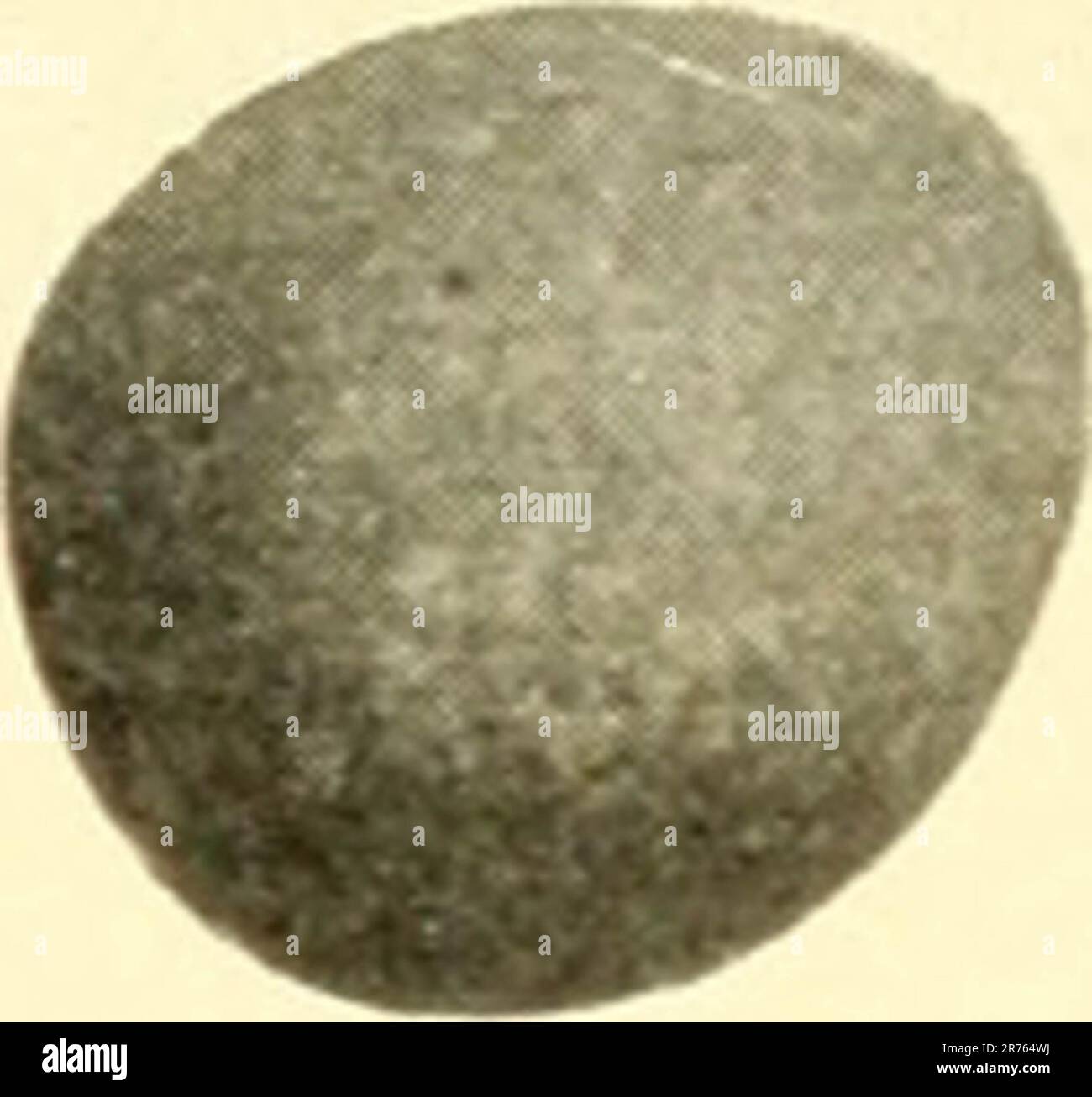 "Elements of Philippine agriculture" (1908 Stock Photo - Alamy