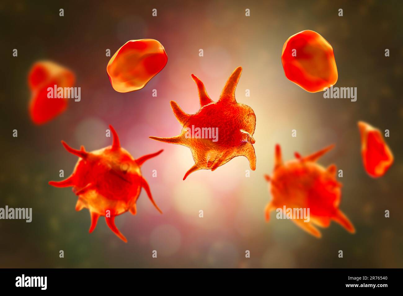 Activated and non-activated platelets. Illustration of platelets ... Activated and non-activated platelets. Illustration of platelets ...