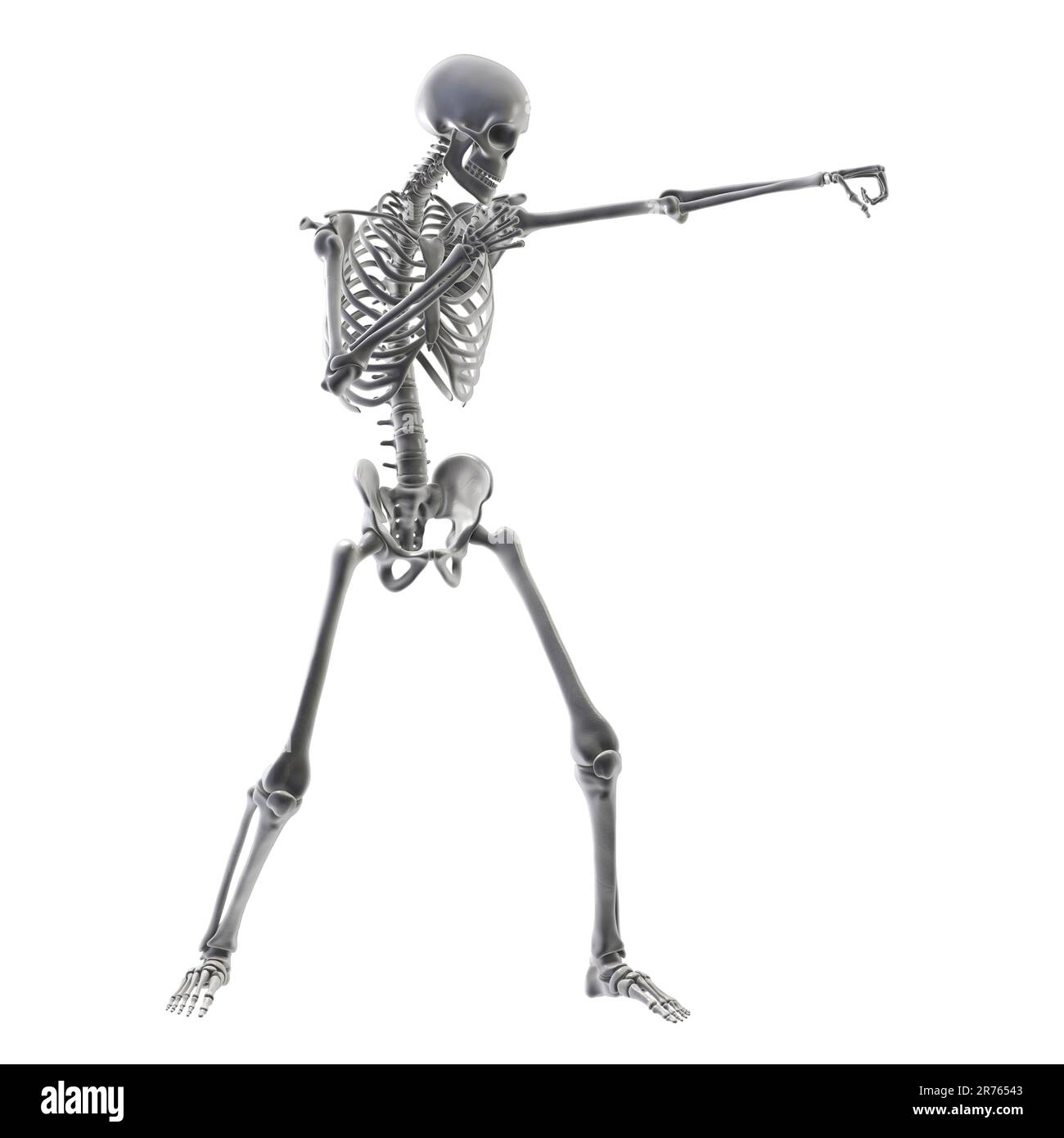 Skeleton boxing, computer artwork Stock Photo - Alamy