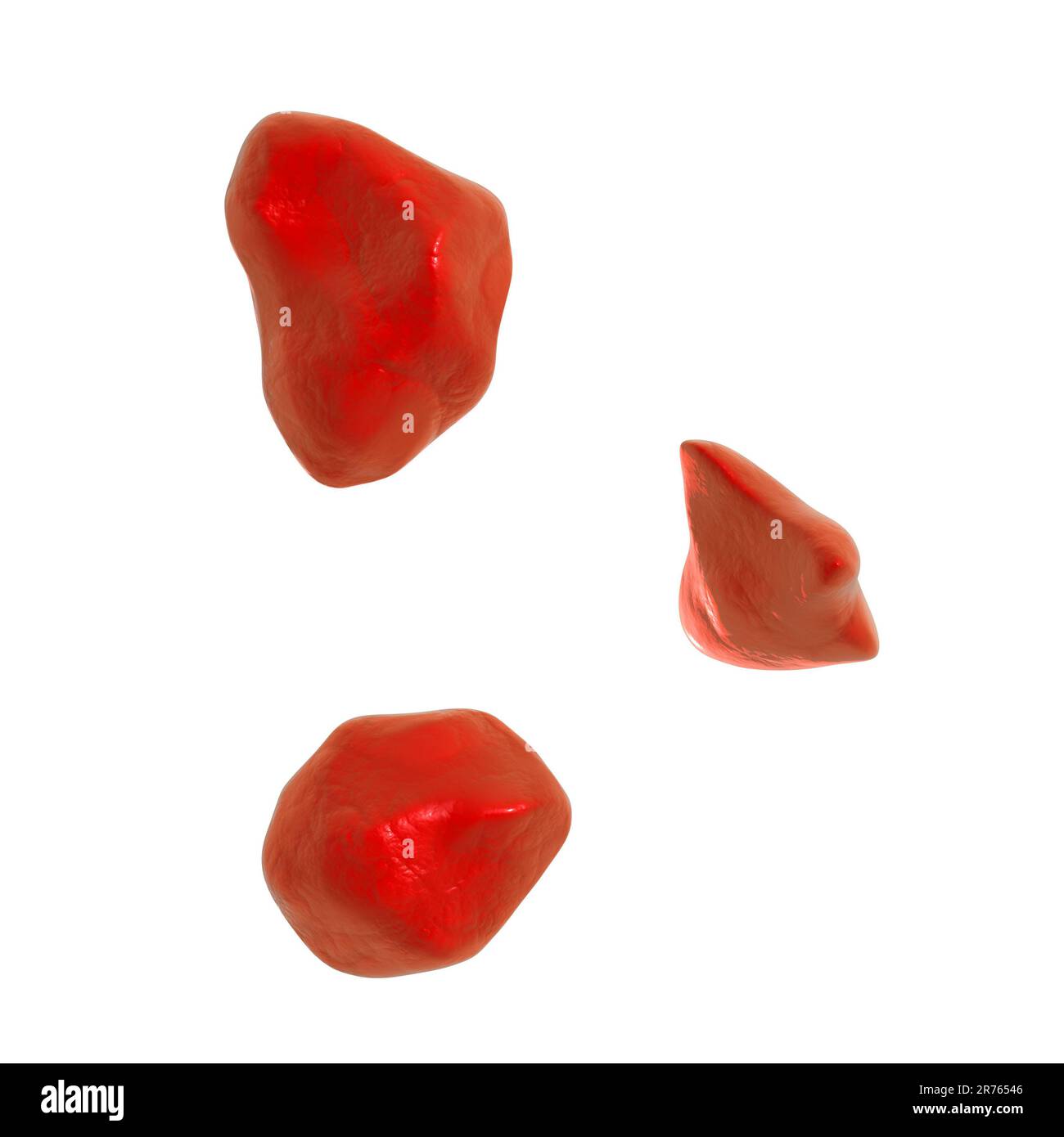 Non-activated platelets. Illustration of platelets (thrombocytes) that ...