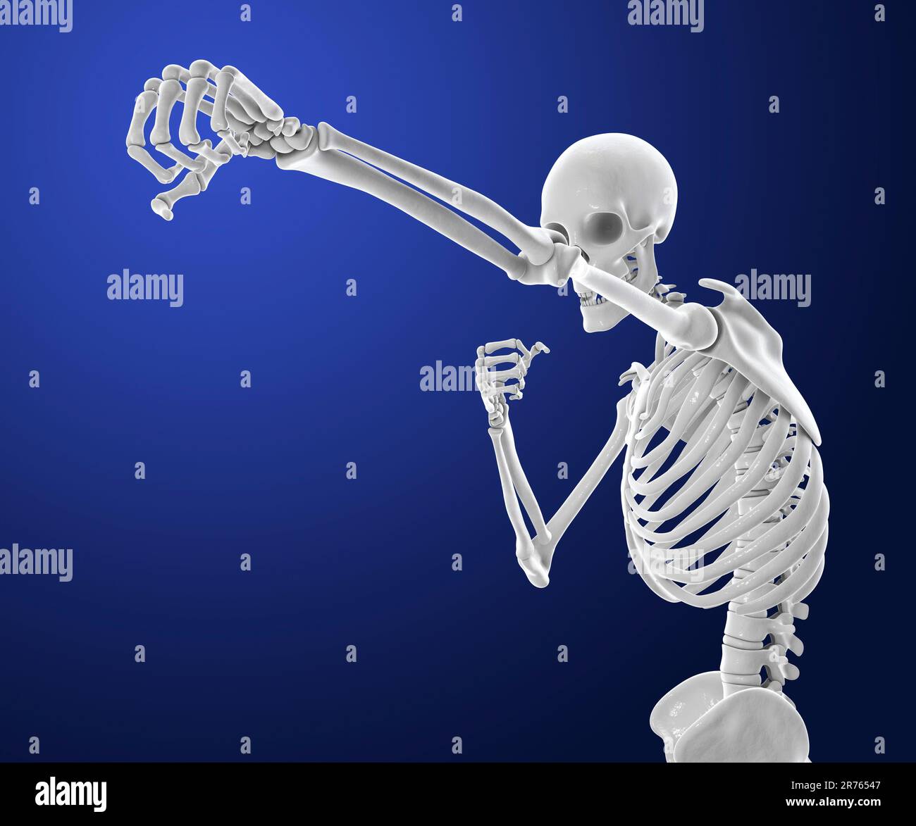 Skeleton boxing, computer artwork Stock Photo - Alamy