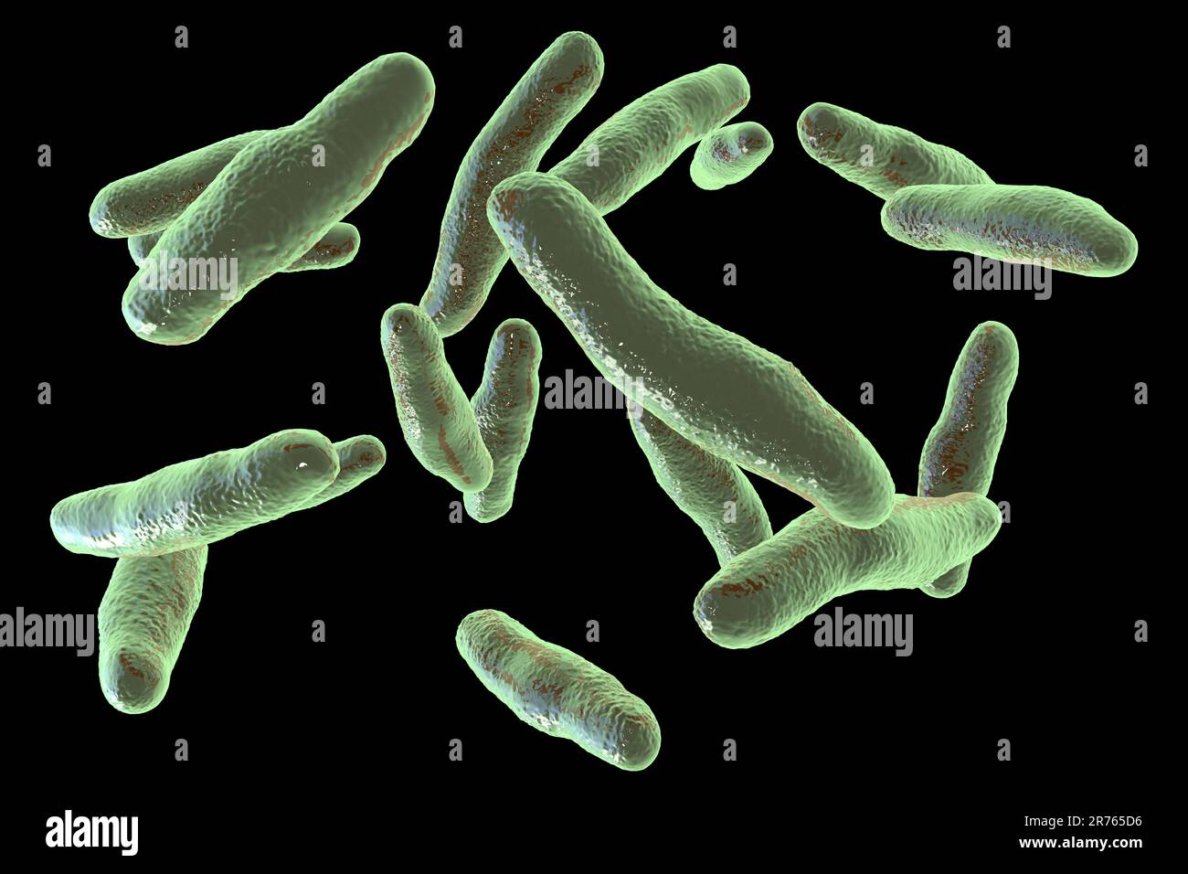 Lower intestinal tract hi-res stock photography and images - Alamy
