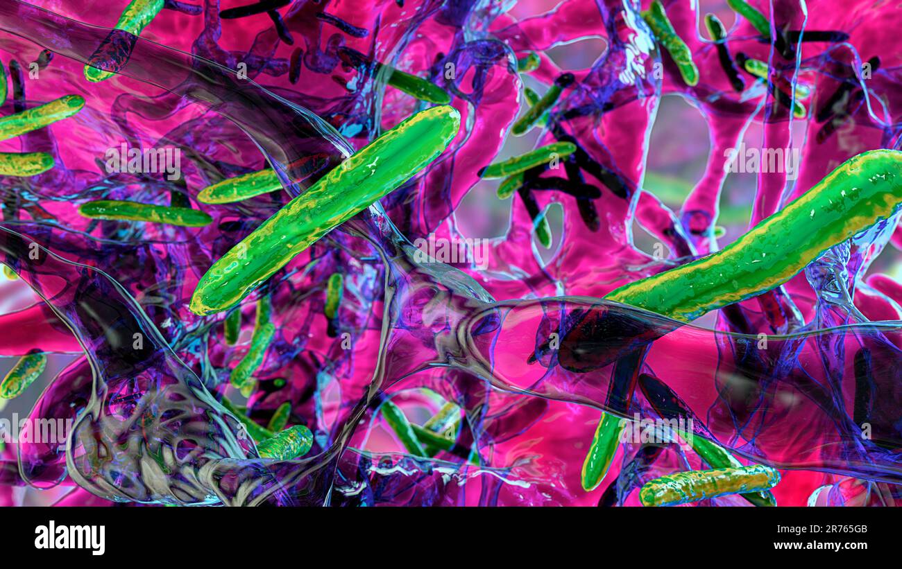 Biofilm of mycobacterium tuberculosis bacteria hi-res stock photography and images - Alamy