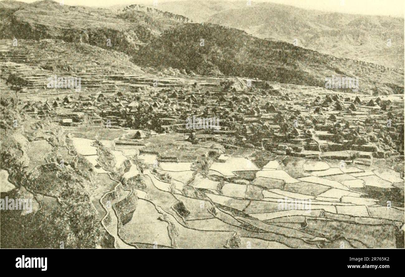 "Elements of Philippine agriculture" (1908 Stock Photo - Alamy