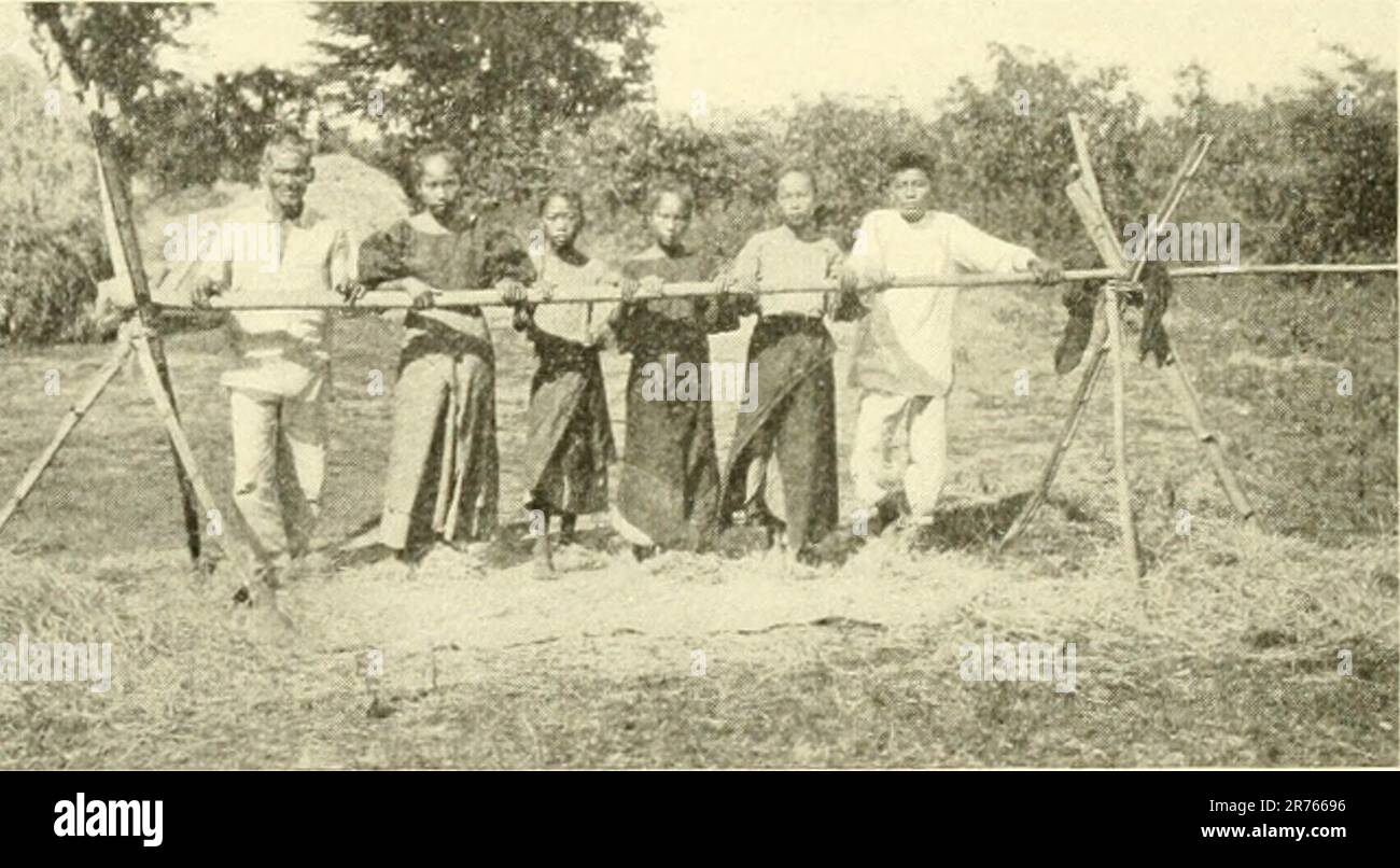 "Elements of Philippine agriculture" (1908 Stock Photo - Alamy