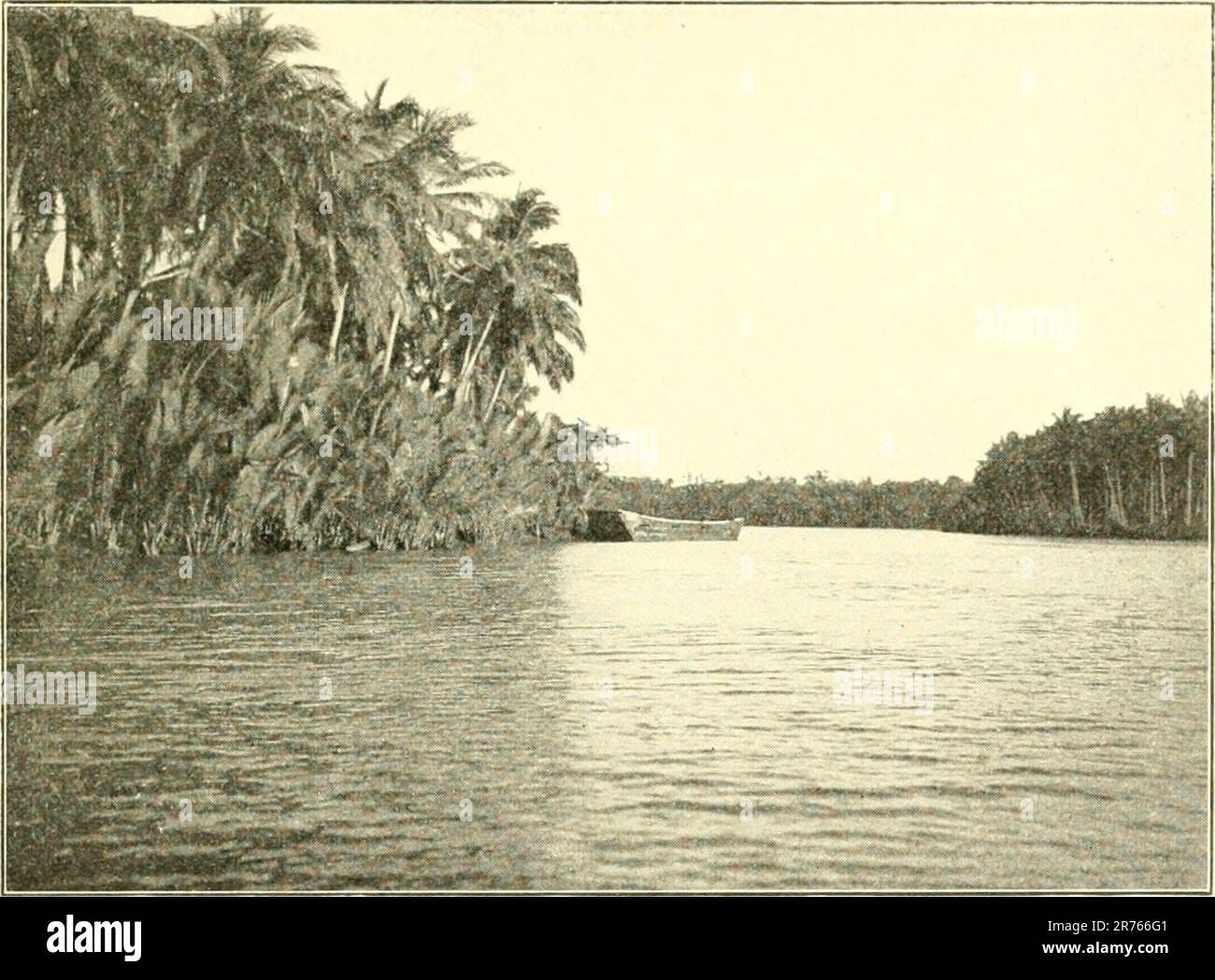 "Elements of Philippine agriculture" (1908 Stock Photo - Alamy