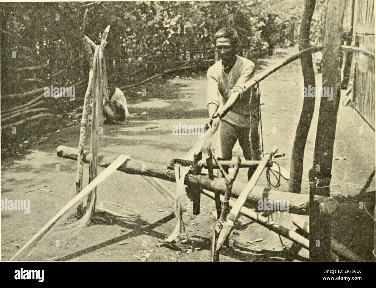 "Elements of Philippine agriculture" (1908 Stock Photo - Alamy