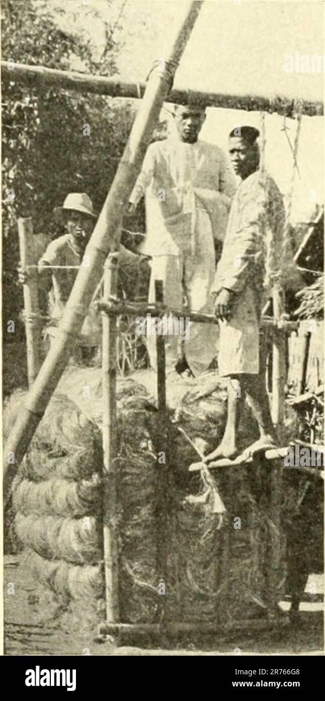 "Elements of Philippine agriculture" (1908 Stock Photo - Alamy