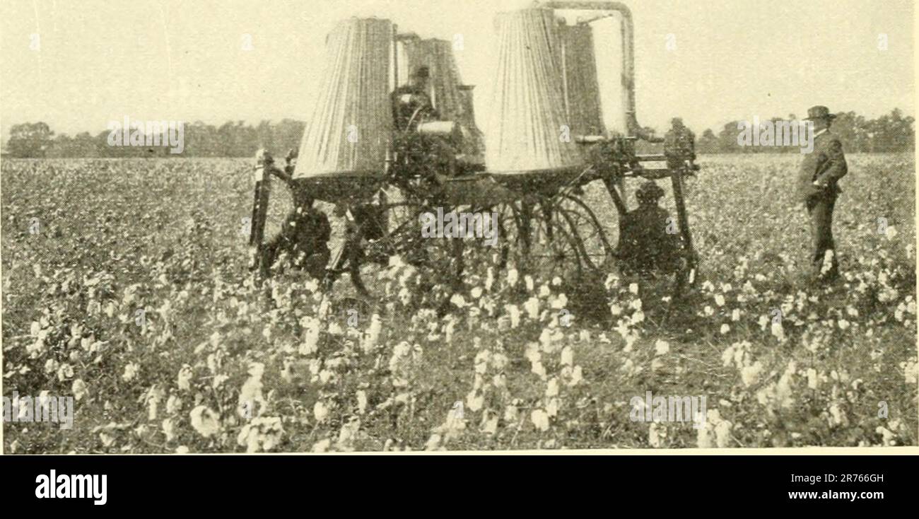 "Elements of Philippine agriculture" (1908 Stock Photo - Alamy