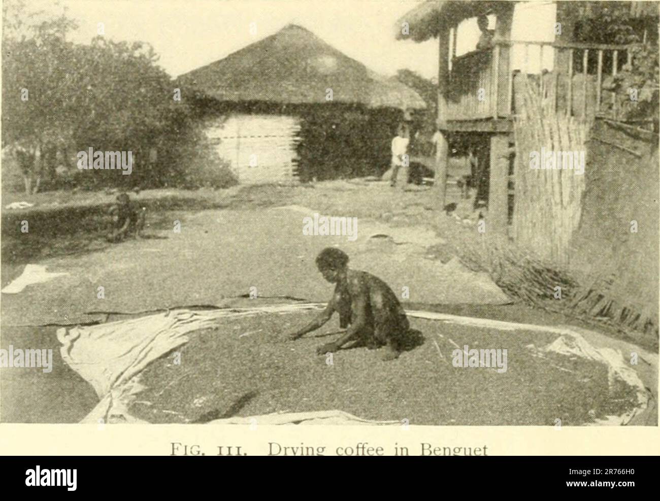 "Elements of Philippine agriculture" (1908 Stock Photo - Alamy