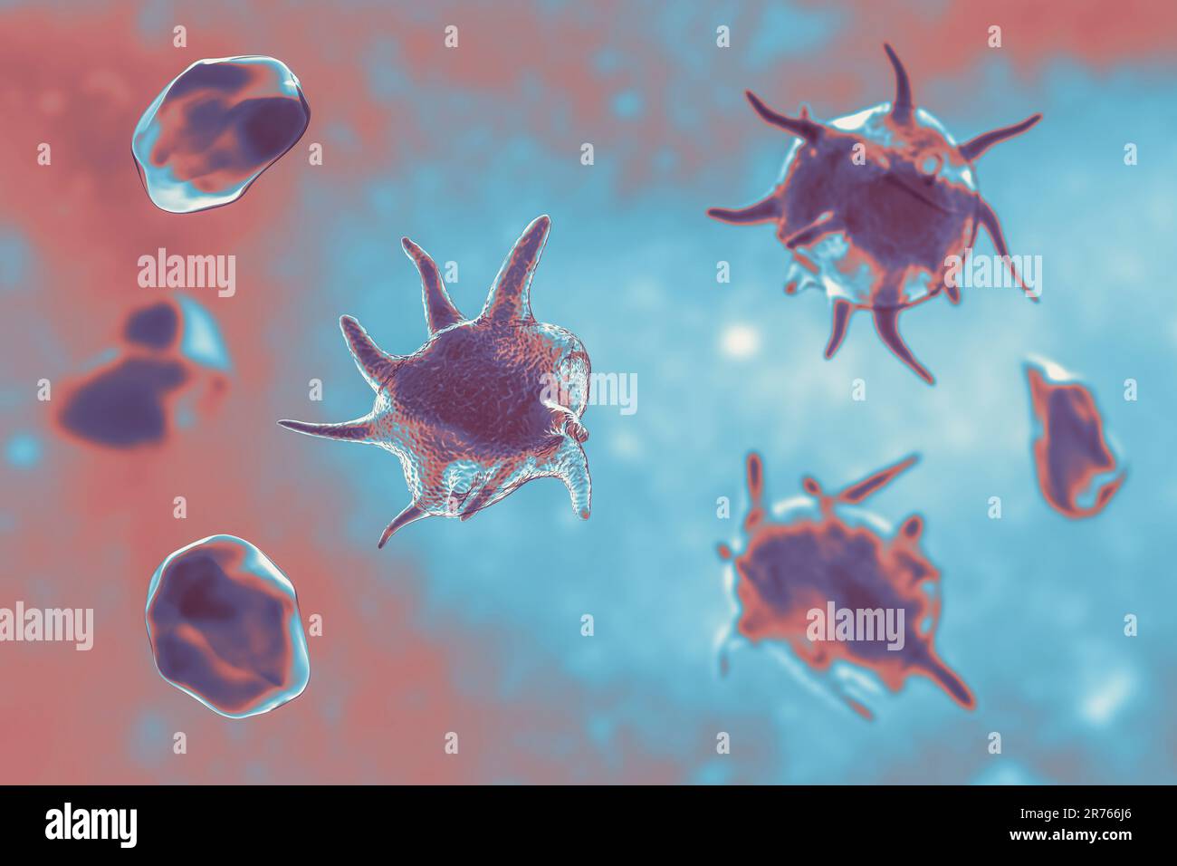 Activated and non-activated platelets. Illustration of platelets ... Activated and non-activated platelets. Illustration of platelets ...