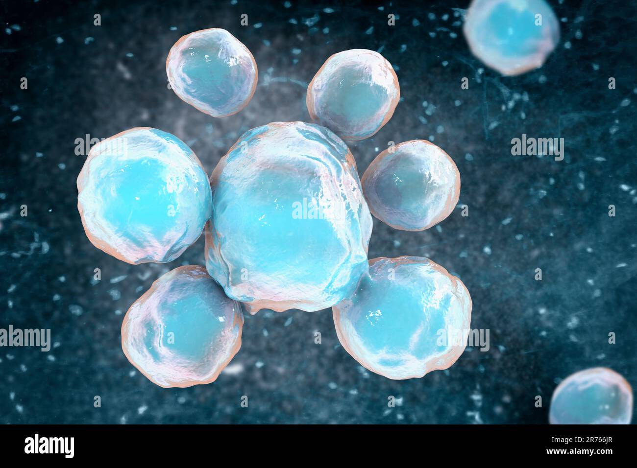 Fungi Paracoccidioides lutzii, a dimorphic fungus, one of the causative ...