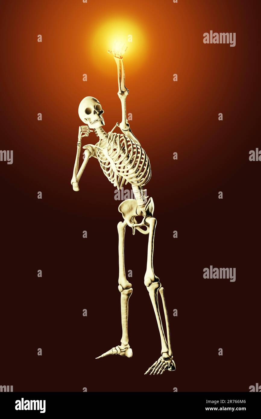Skeleton boxing, computer illustration Stock Photo - Alamy