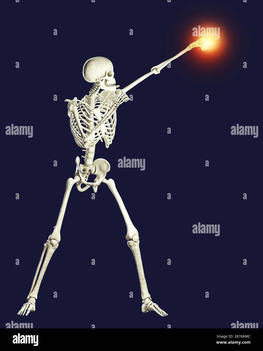 Skeleton boxing, computer illustration Stock Photo - Alamy