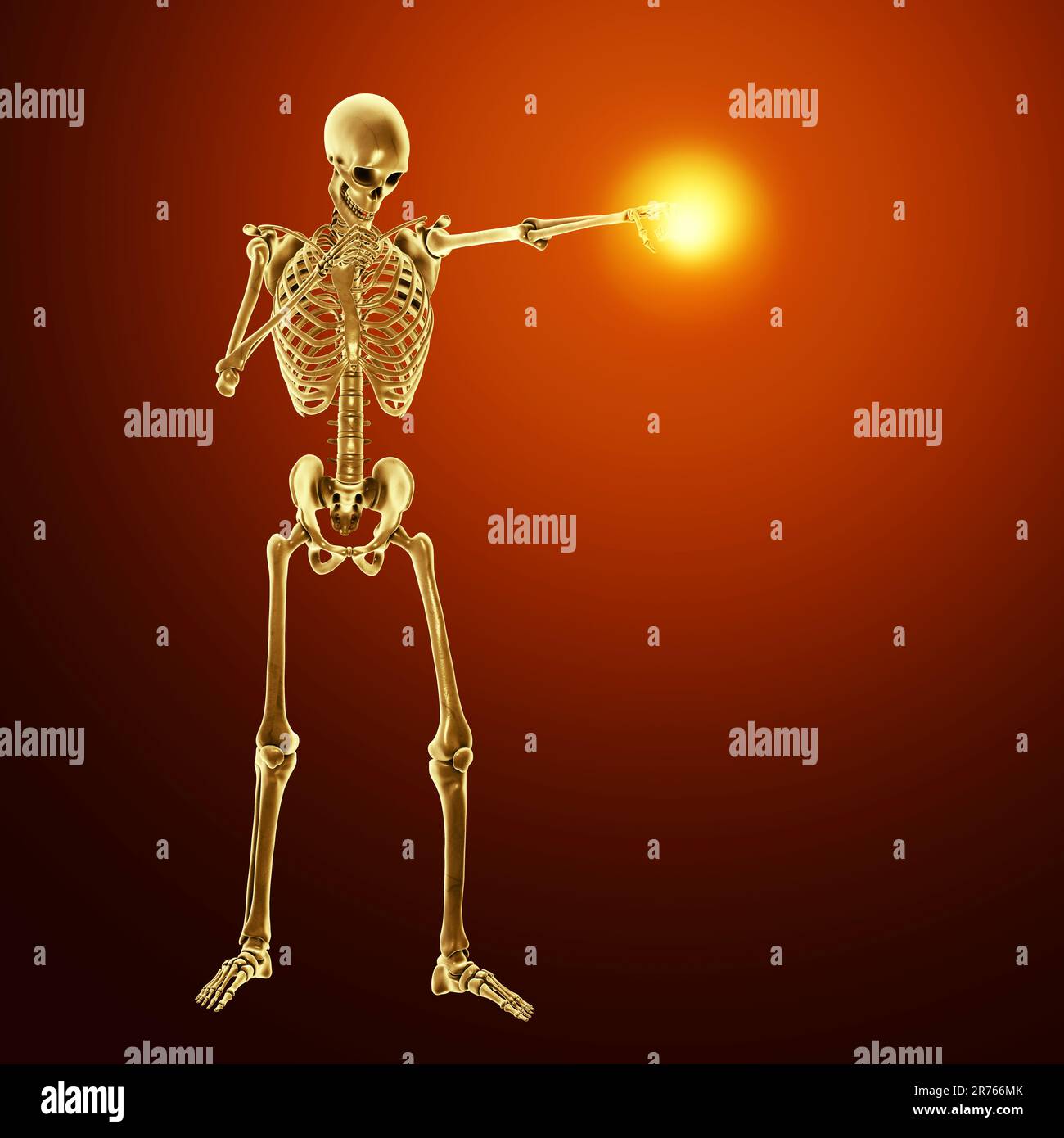 Skeleton boxing, computer illustration Stock Photo - Alamy