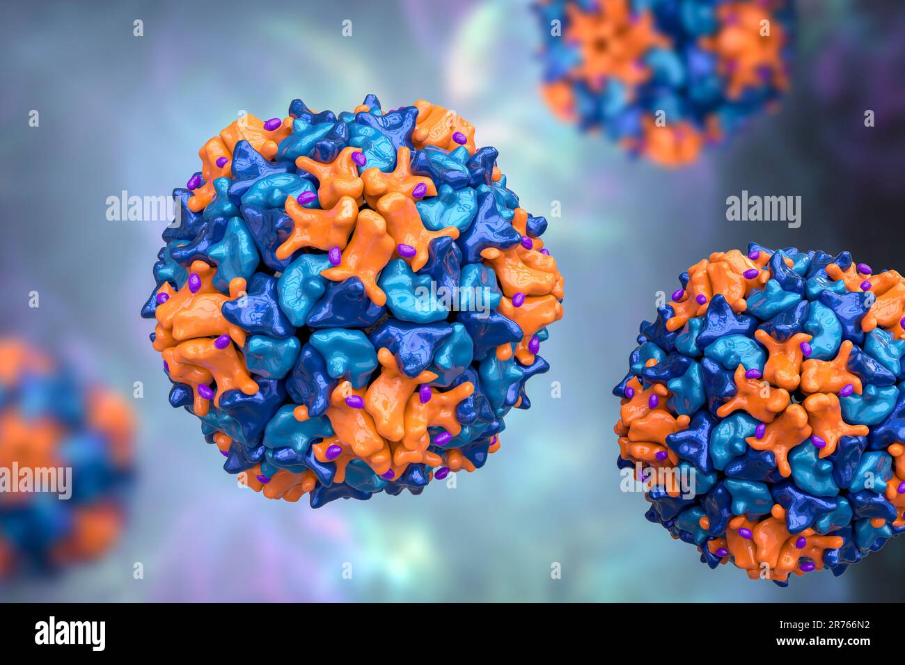 Poliovirus particles, computer illustration. Poliovirus particles ...