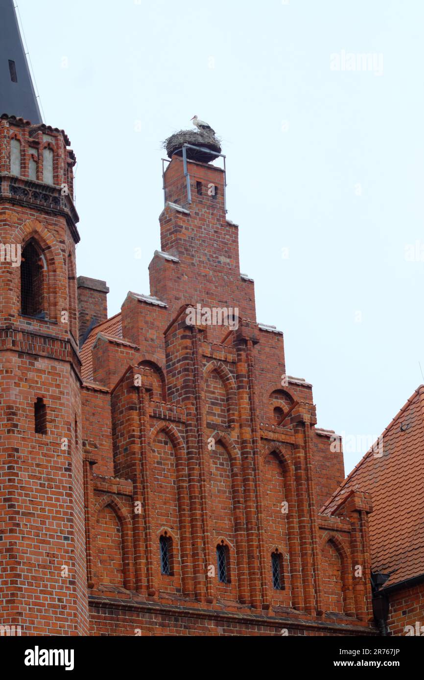 Medieval town hall in Tangermunde has storks nesting on its roof Stock ...
