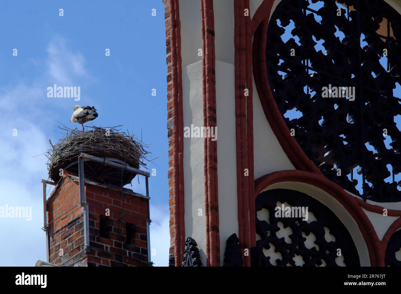 Medieval town hall in Tangermunde has storks nesting on its roof Stock ...