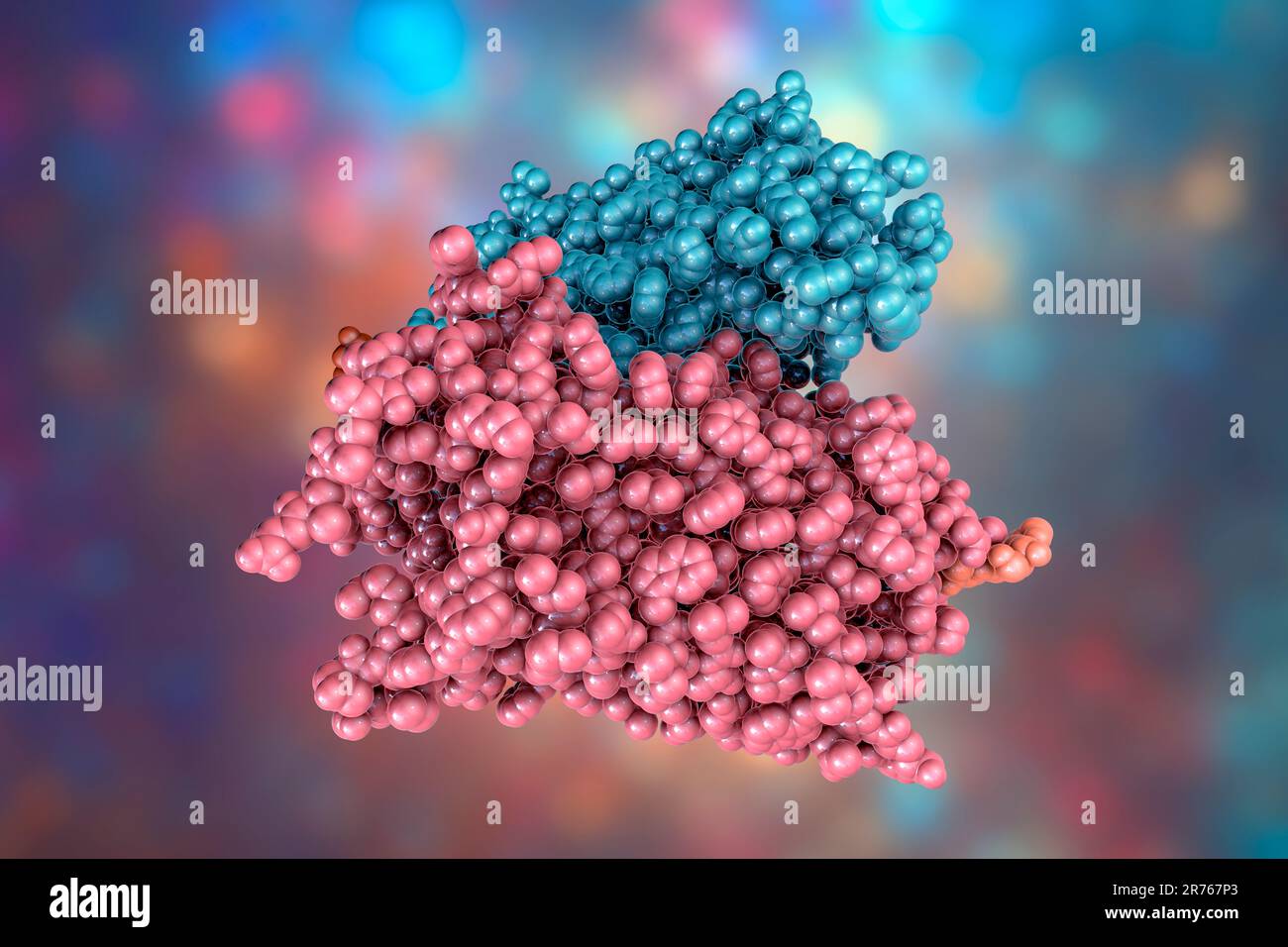 Photoreceptor cell hi-res stock photography and images - Alamy