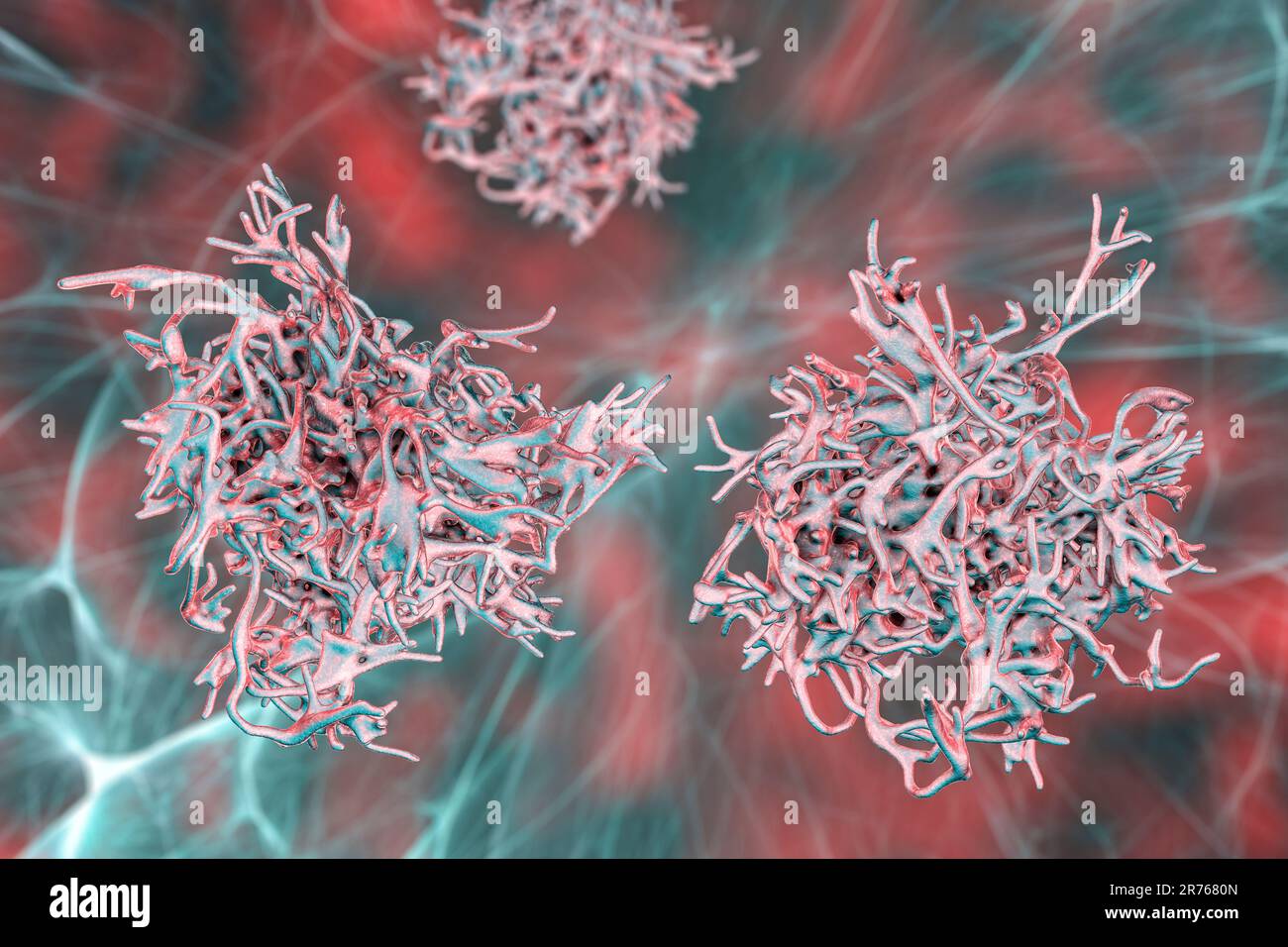 Amoeba, computer illustration Stock Photo - Alamy