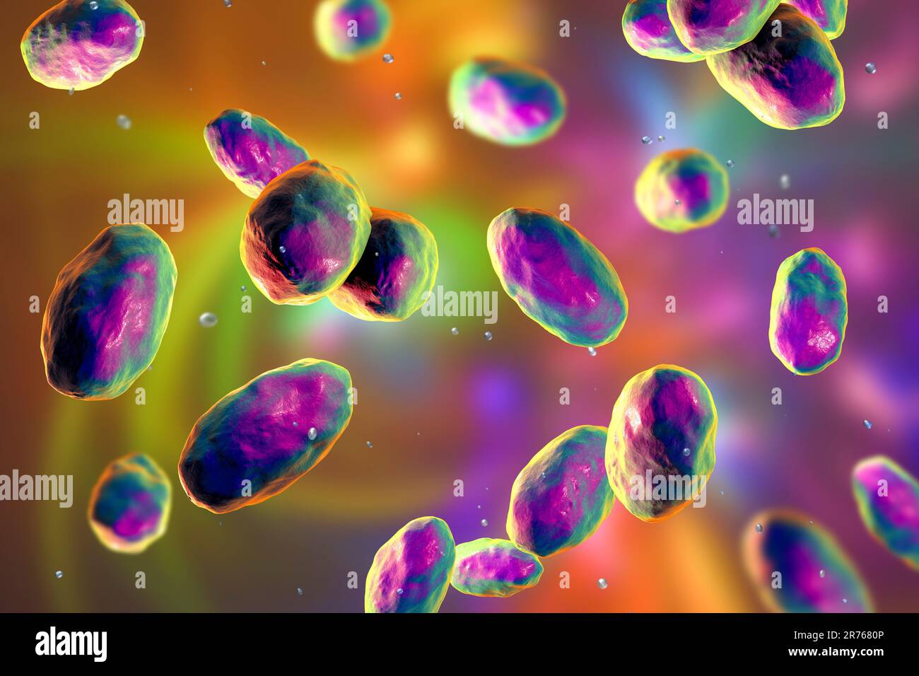 Scarlet Fever Bacteria Shape