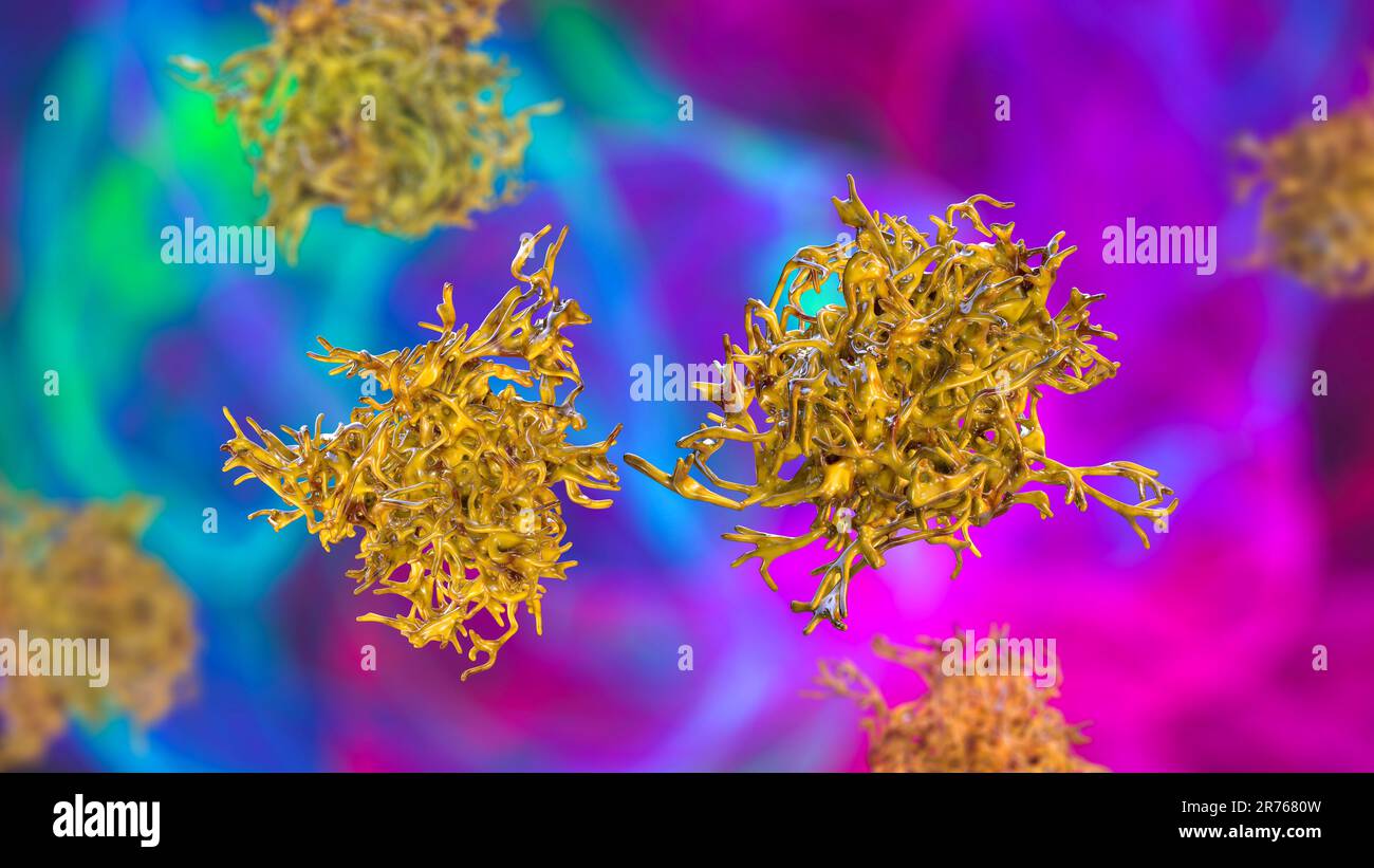 Amoeba, computer illustration Stock Photo - Alamy