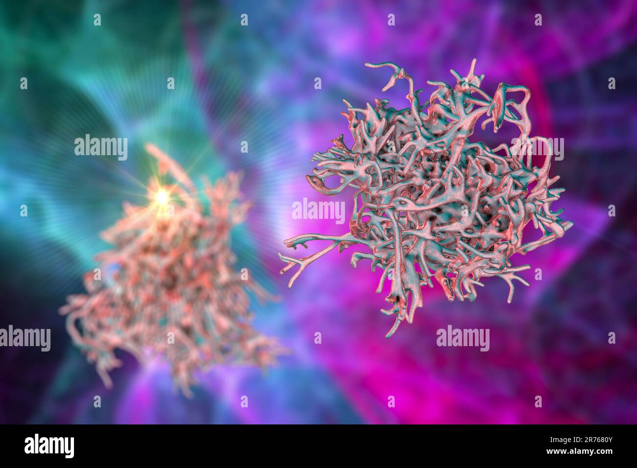 Amoeba, computer illustration Stock Photo - Alamy