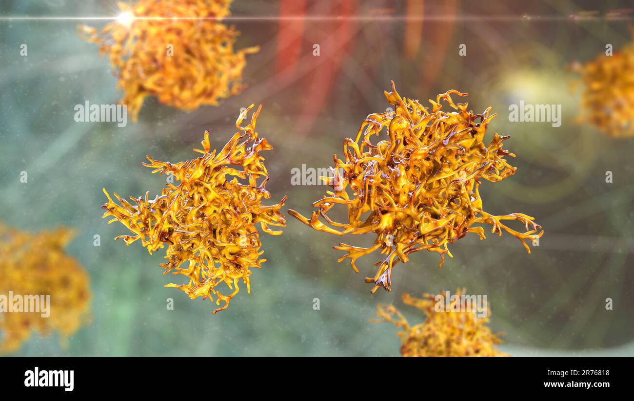 Protozoan amoeba proteus hi-res stock photography and images - Alamy