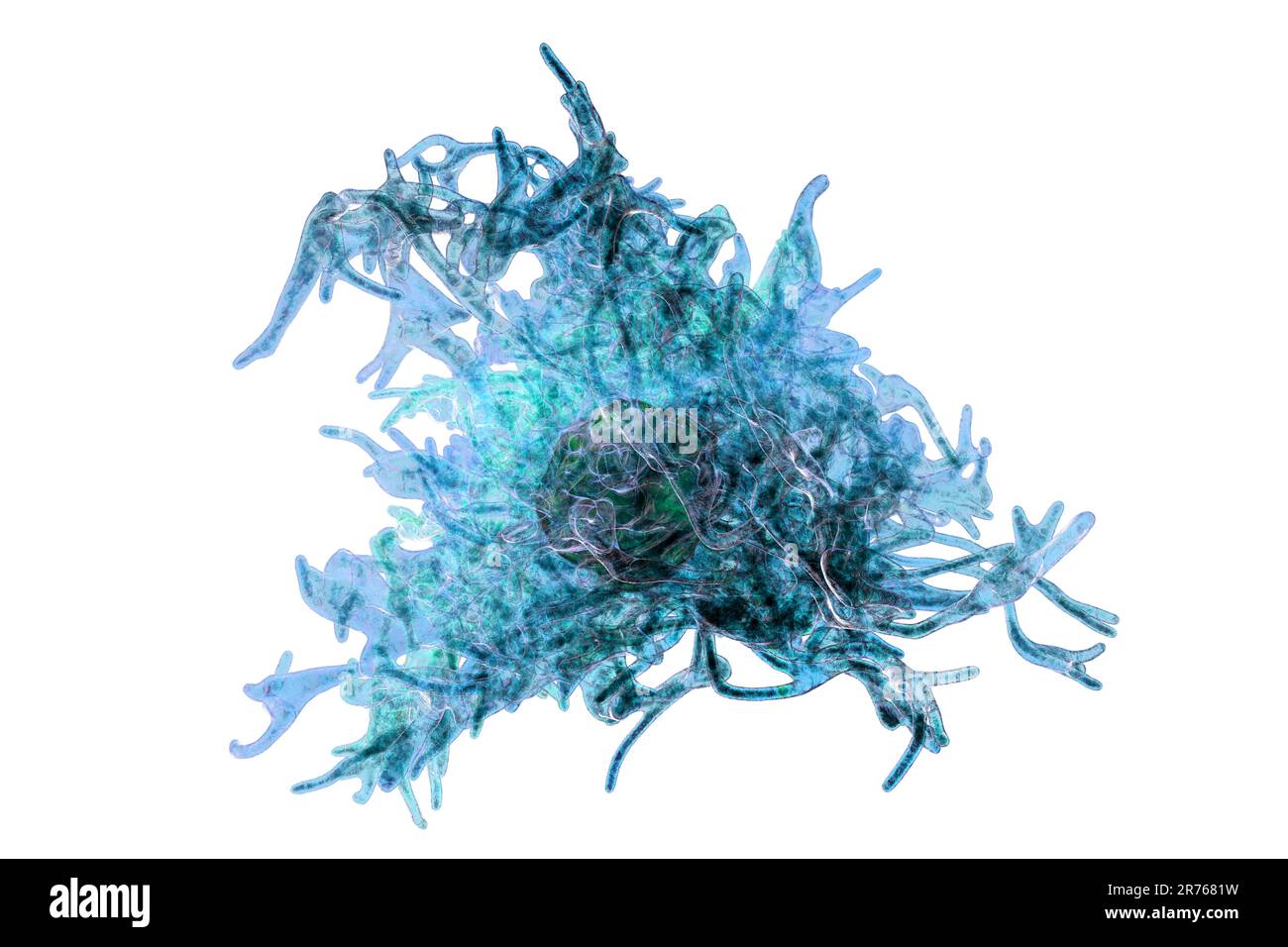 Amoeba, computer illustration Stock Photo - Alamy