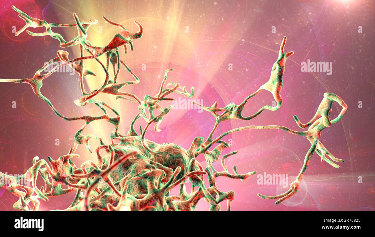 Amoeba, computer illustration Stock Photo - Alamy