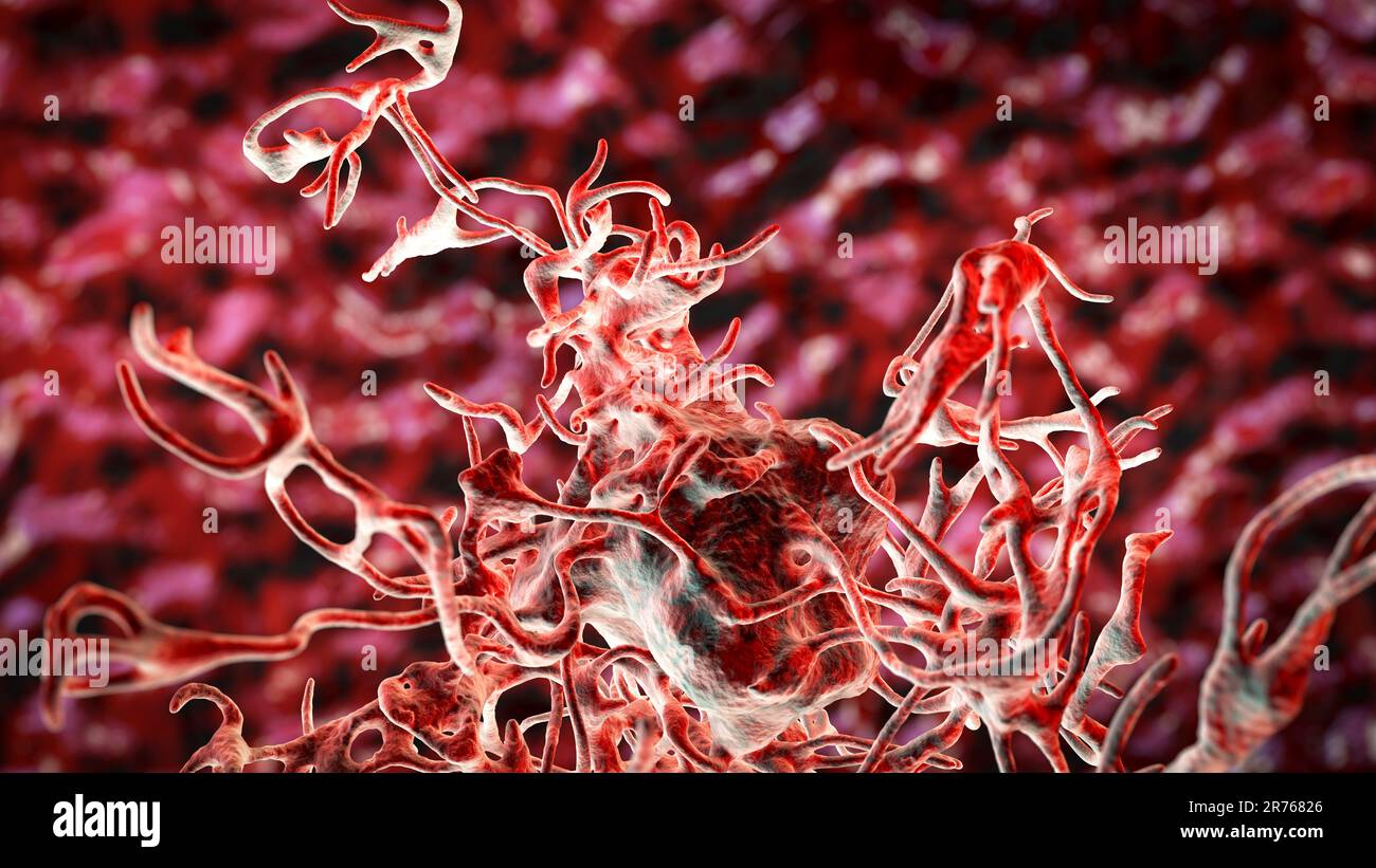 Amoeba, computer illustration Stock Photo - Alamy