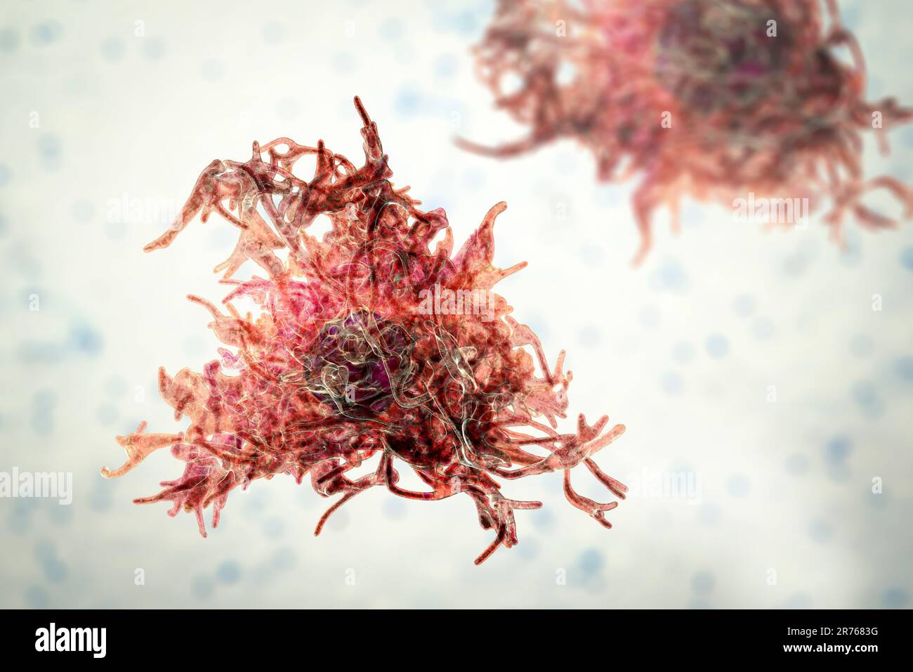 Amoeba, computer illustration Stock Photo - Alamy