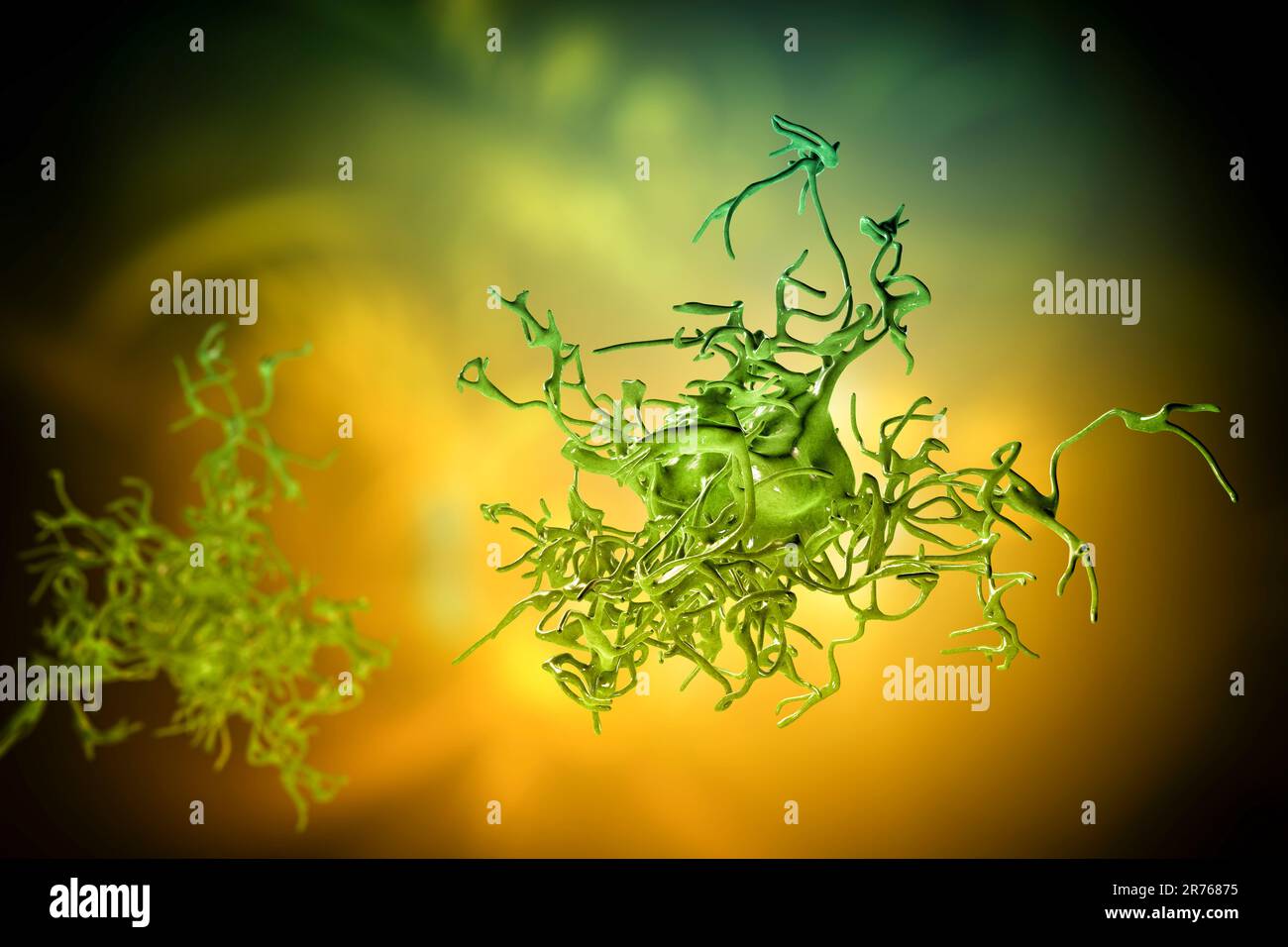 Amoeba, computer illustration Stock Photo - Alamy