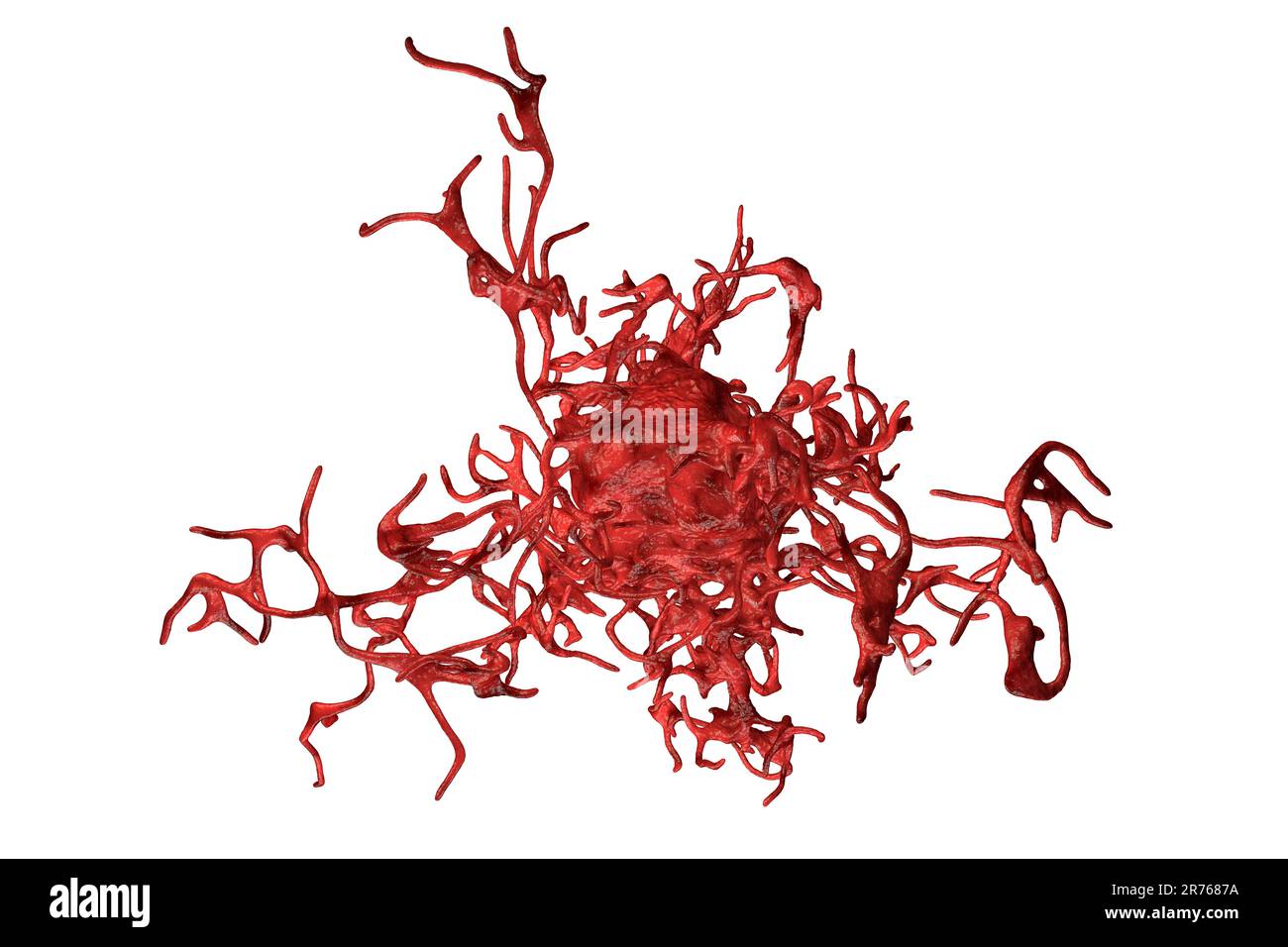 Proteus illustration Cut Out Stock Images & Pictures - Alamy