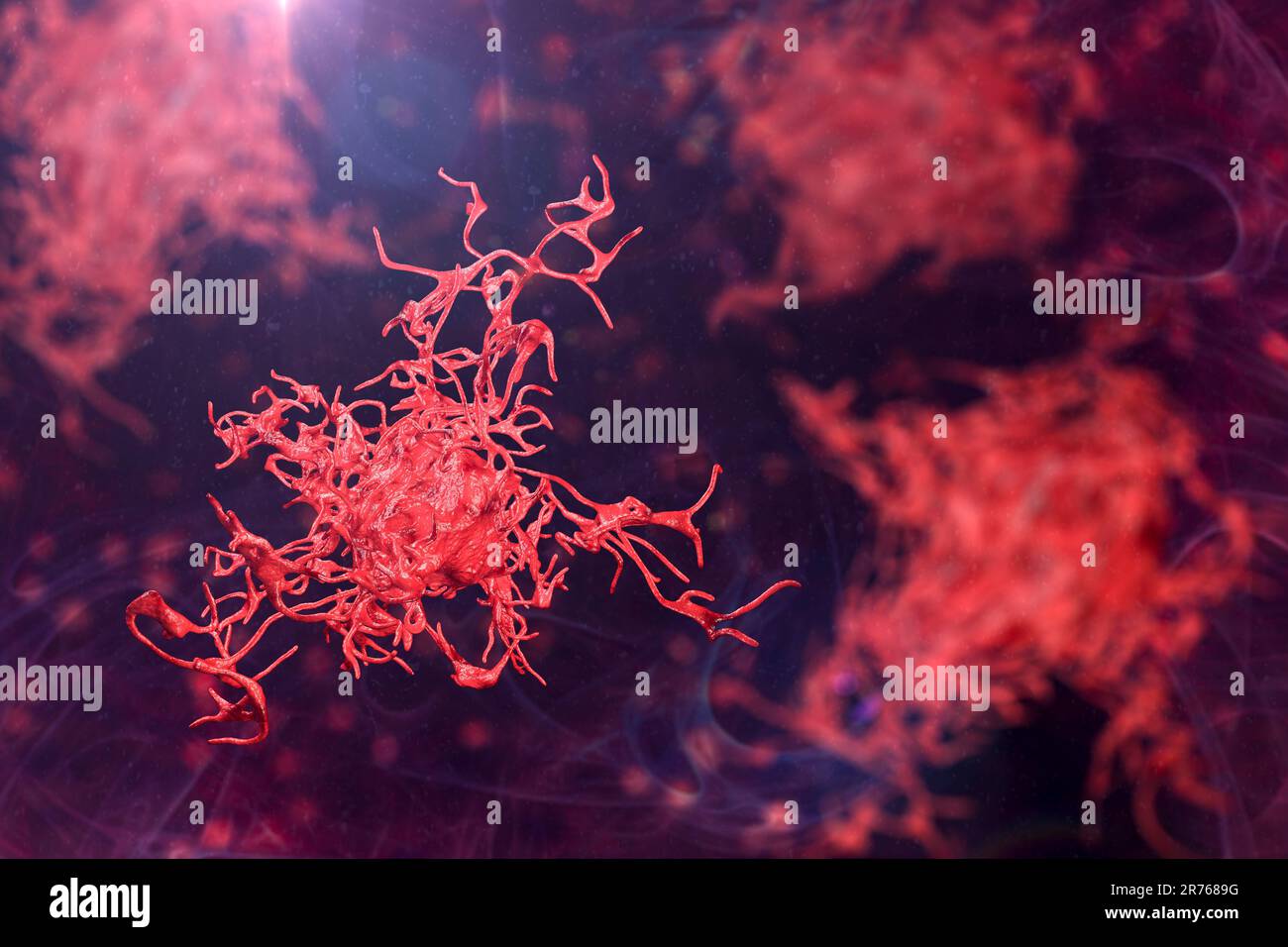Amoeba, computer illustration Stock Photo - Alamy