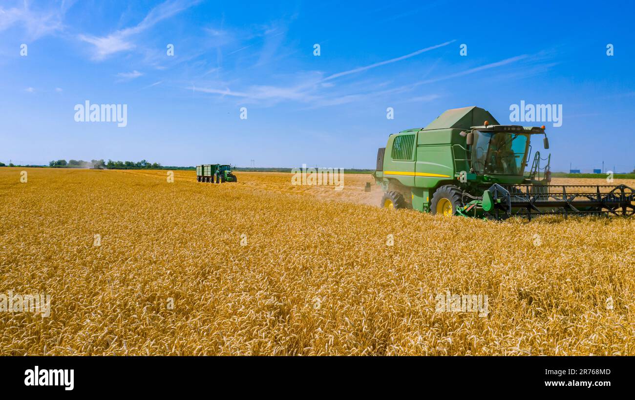 Above front view on agricultural harvester, combine is cutting and ...