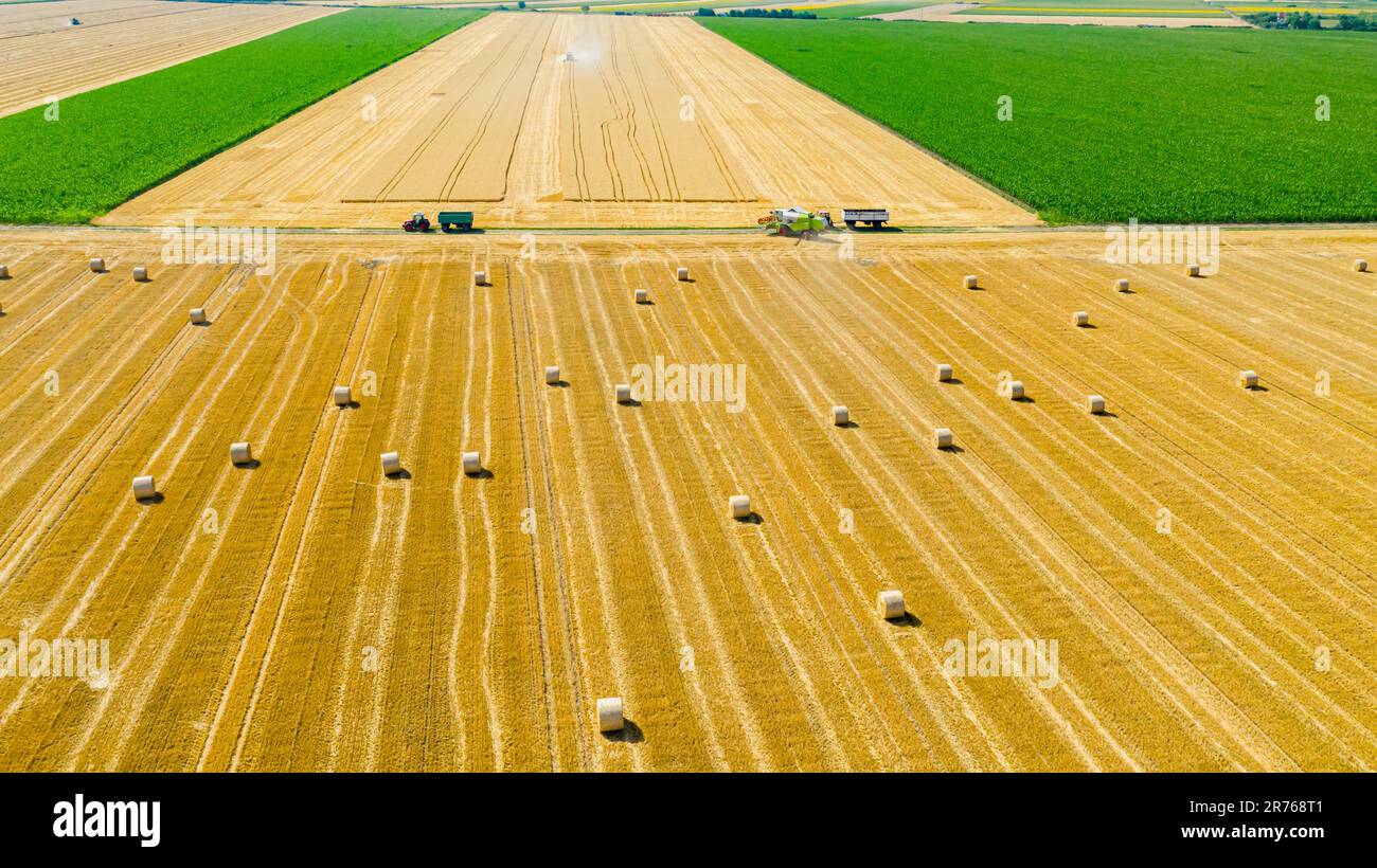 Above view, over agricultural plot in harvest time, season, rolls of ...
