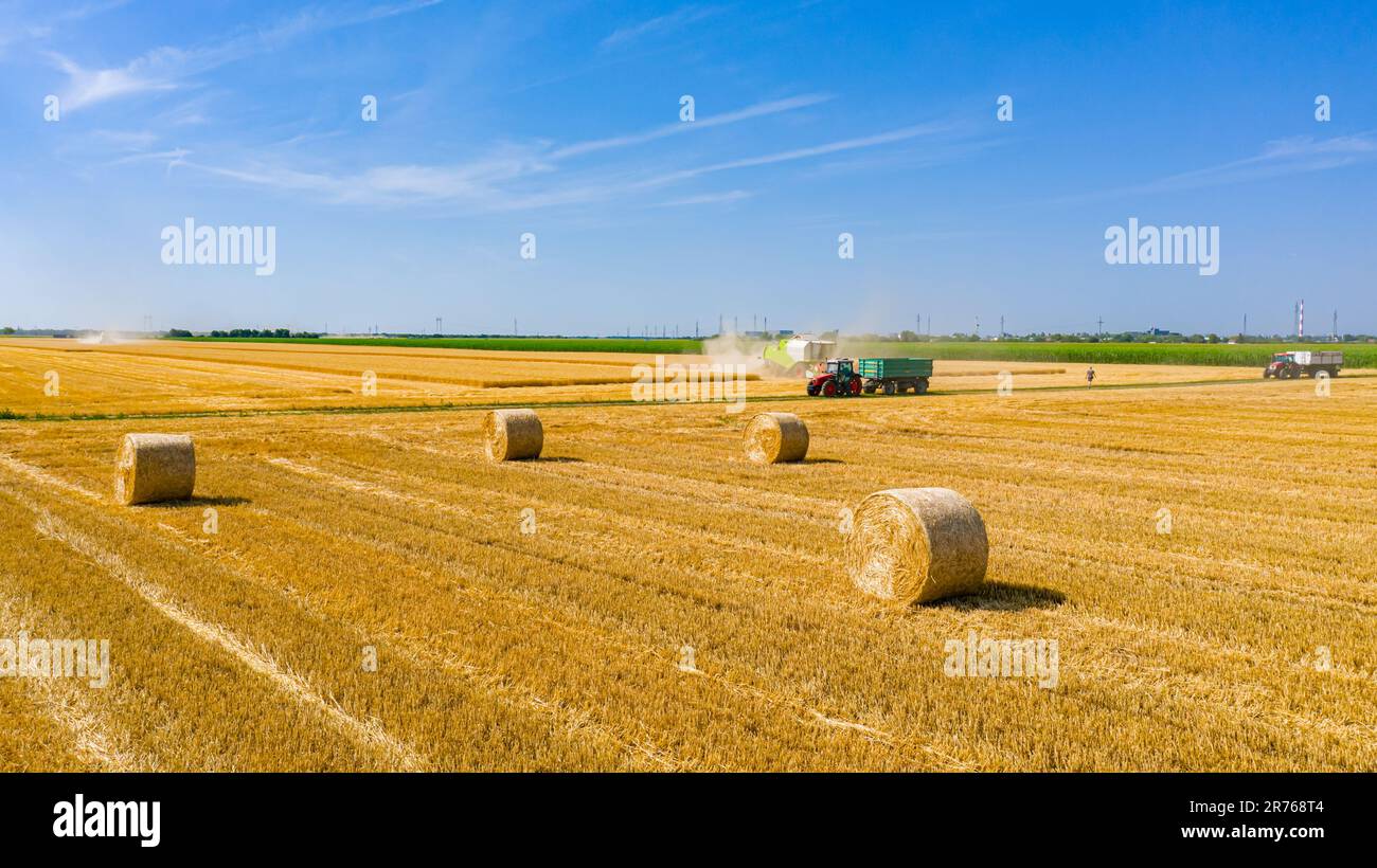 Above view, over agricultural plot in harvest time, season, rolls of ...
