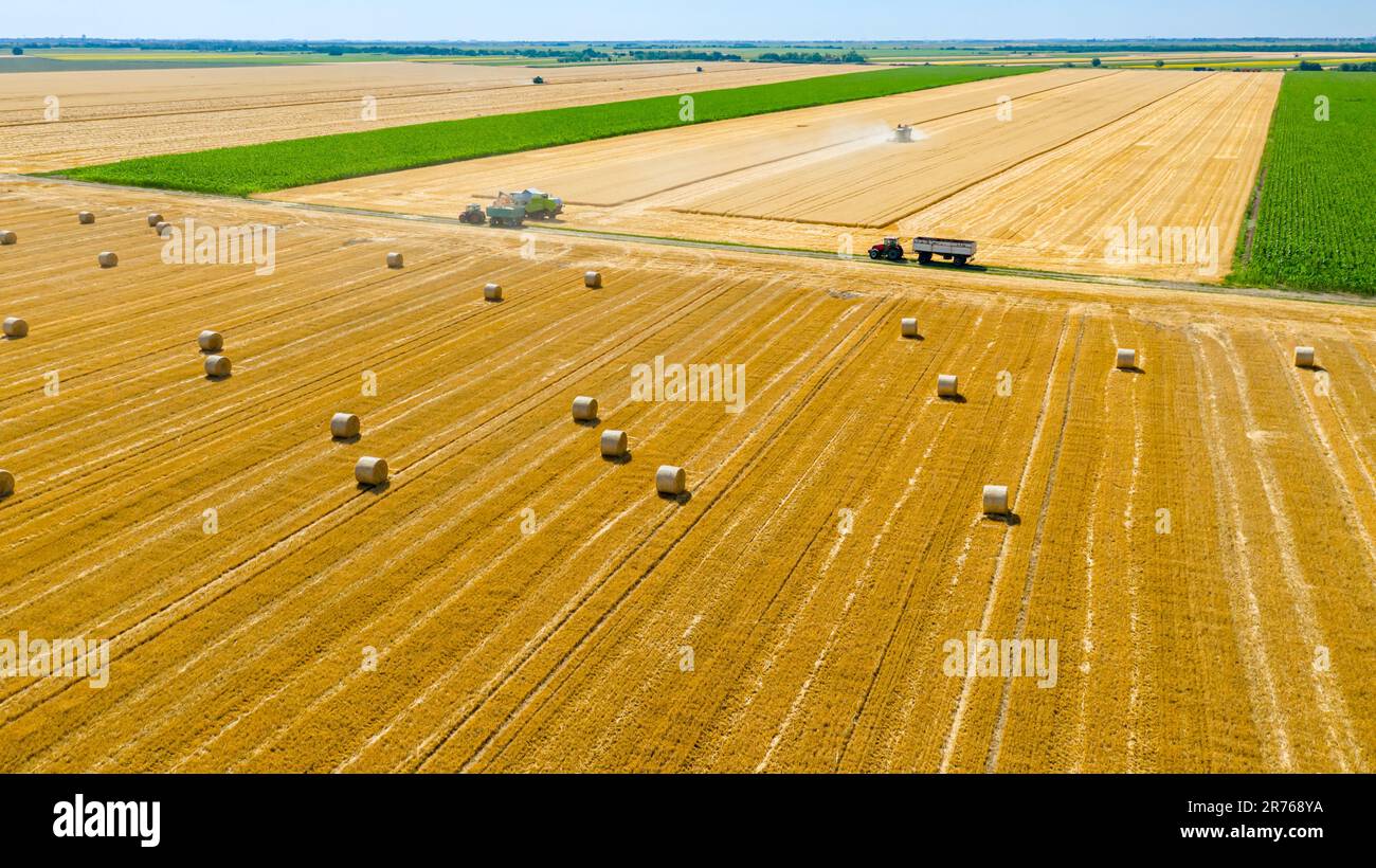 Above view, over agricultural plot in harvest time, season, rolls of ...
