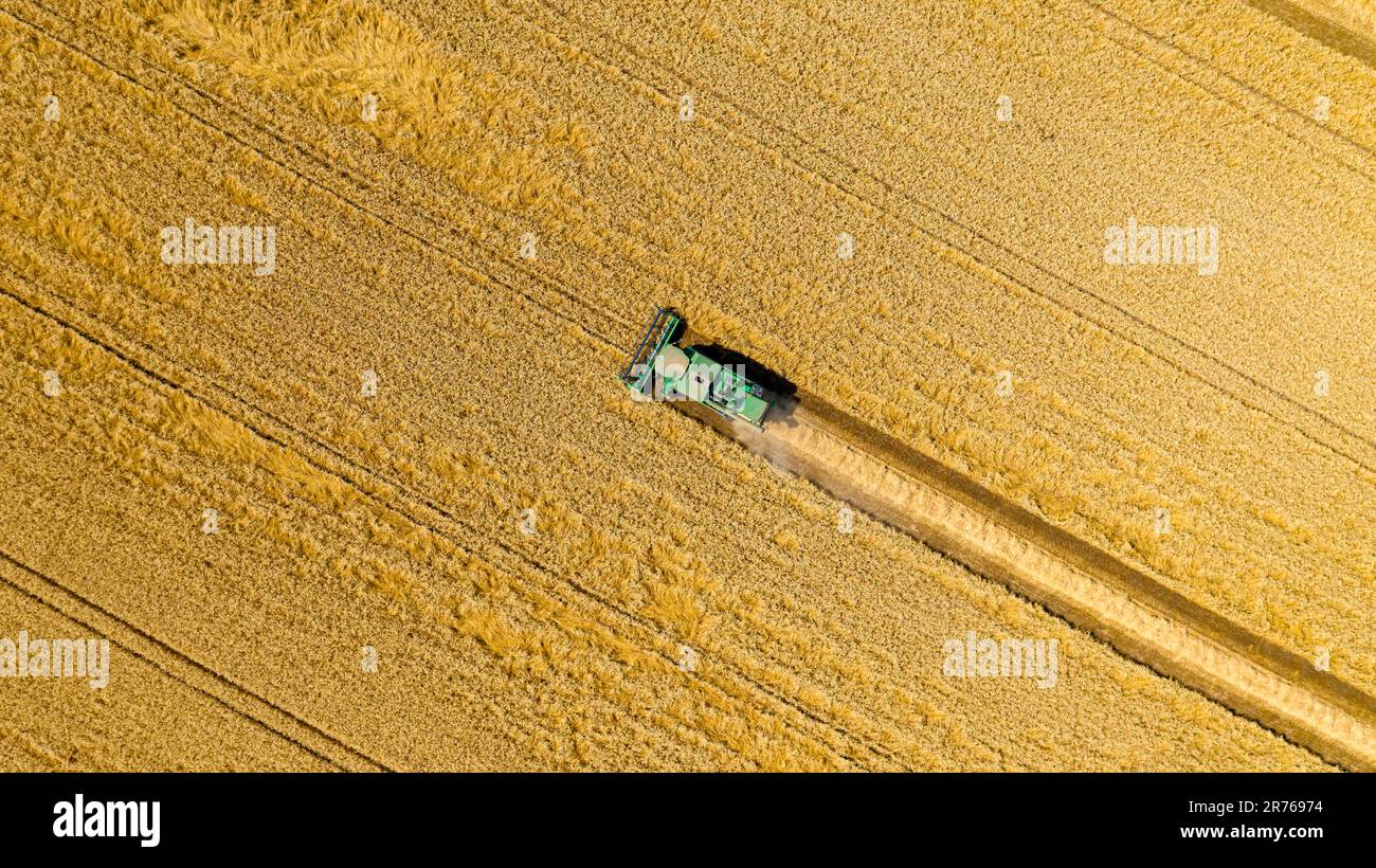 Above top view over agricultural harvester, combine as he cutting and ...