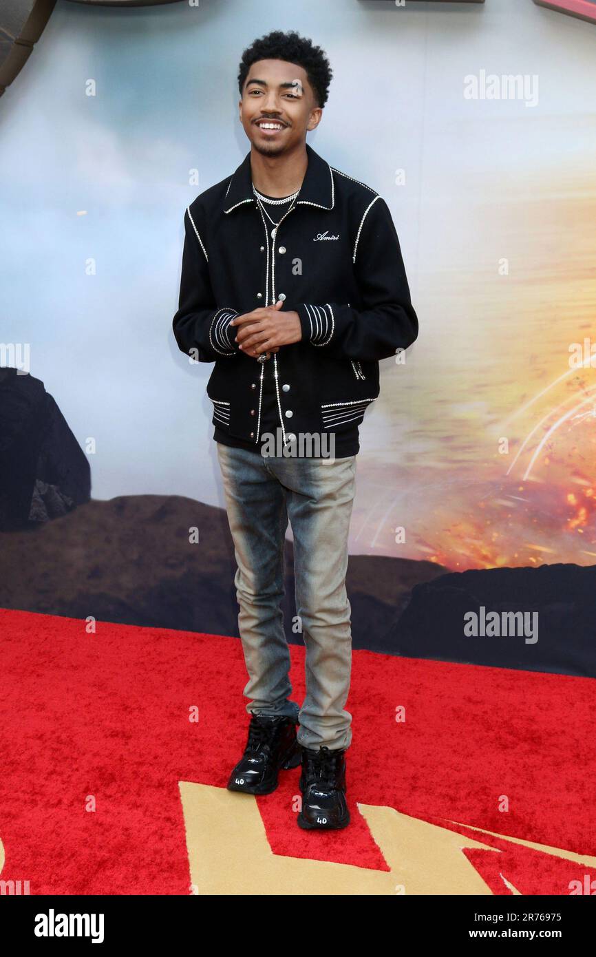 Los Angeles, CA. 12th June, 2023. Miles Brown at arrivals for THE FLASH ...