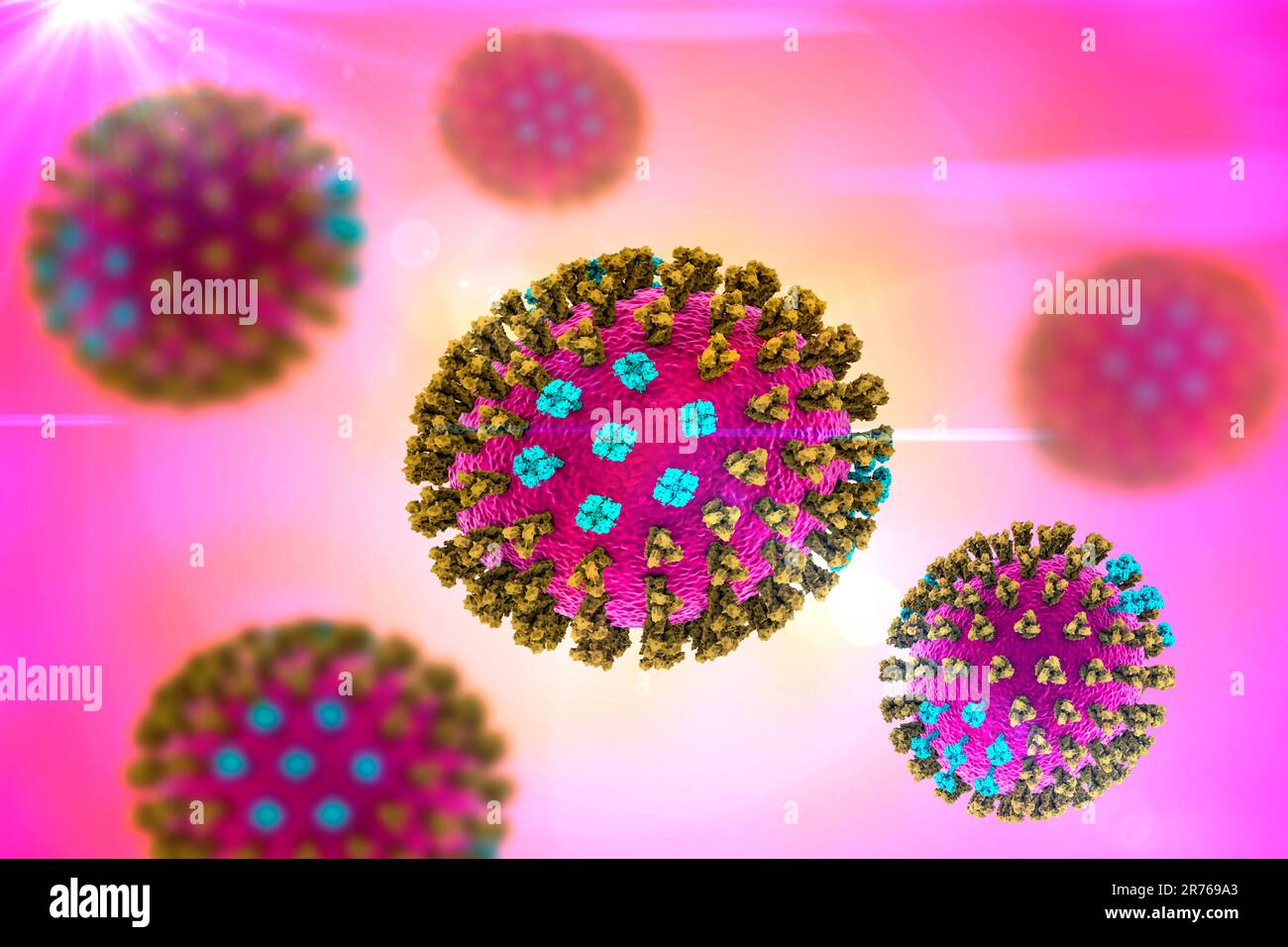 Flu viruses, computer illustration. Each virus consists of a core of ...