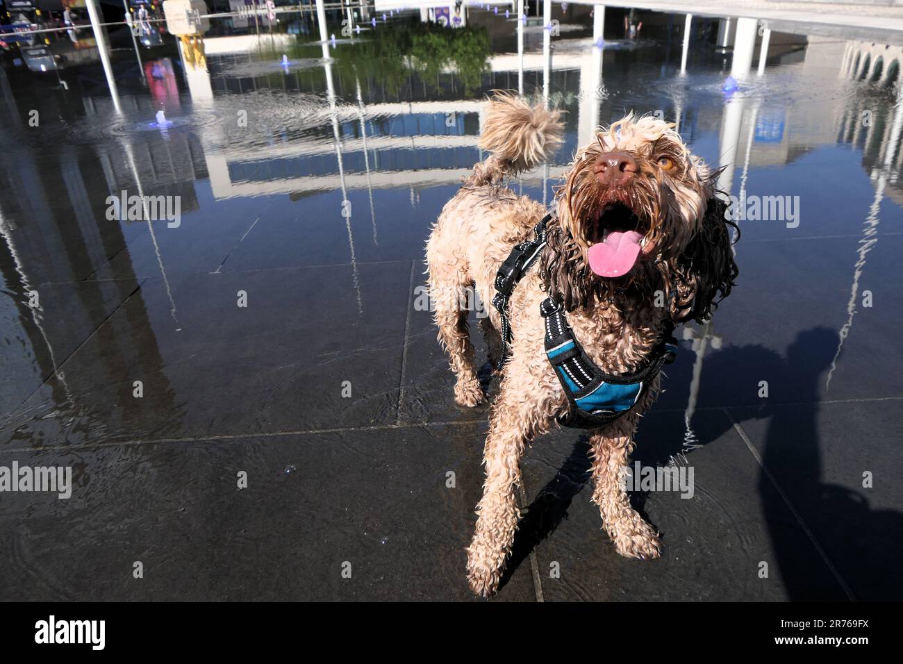 Everyone is playing hi-res stock photography and images - Alamy