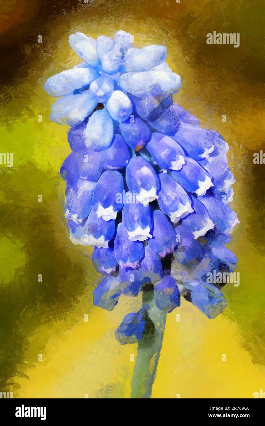 Spring blue flower, digital painting effect, photo manipulation Stock ...